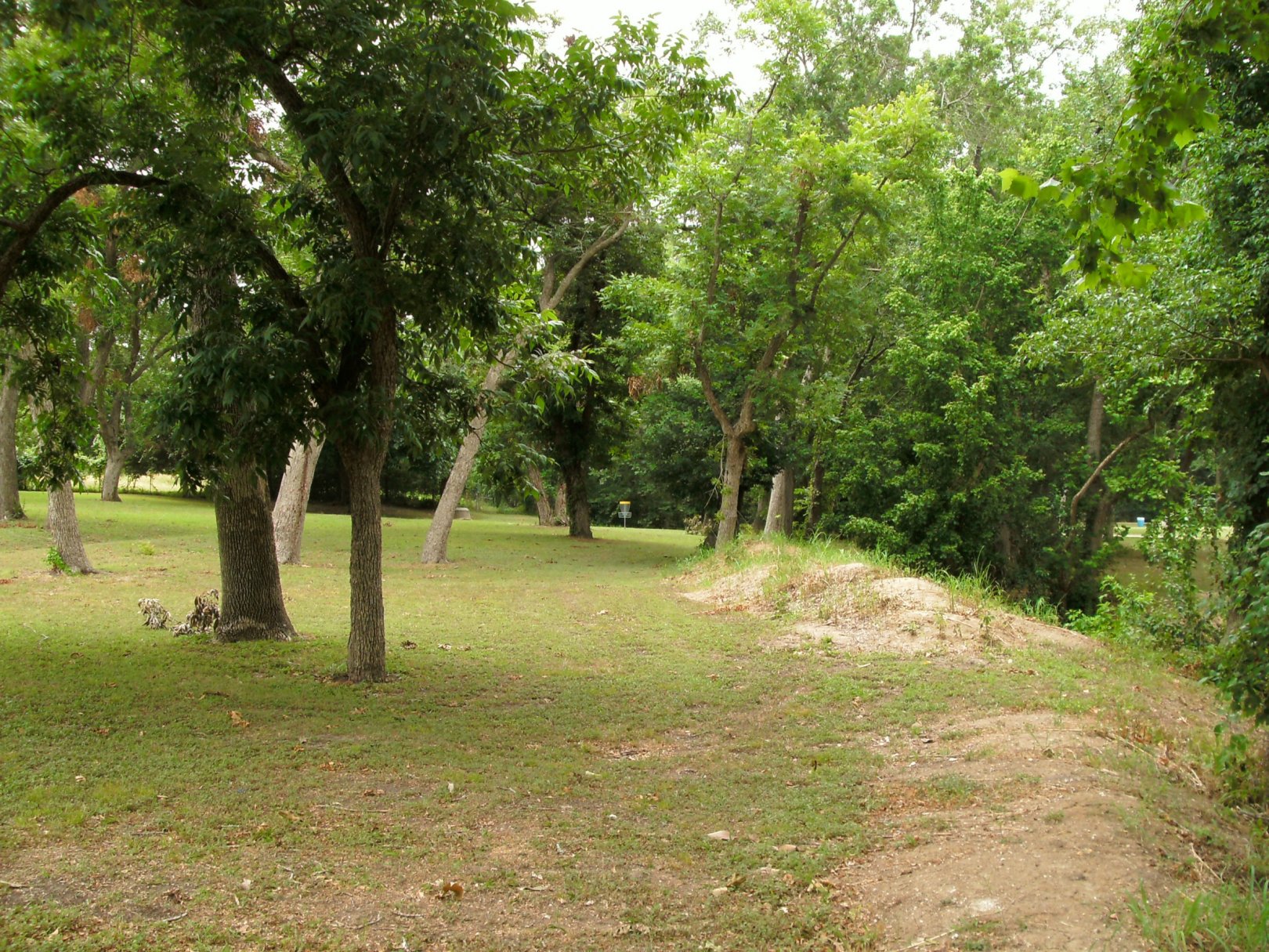 Hole 2 • Hohlt Park (Brenham, TX) | Disc Golf Courses | Disc Golf Scene