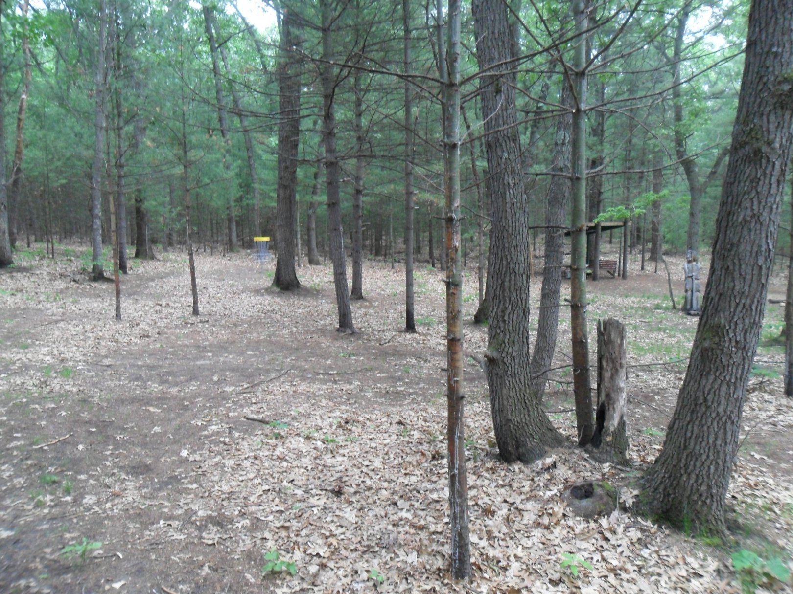 Hole D2 • Whitehall Township DGC (Whitehall, MI) | Disc Golf Courses ...