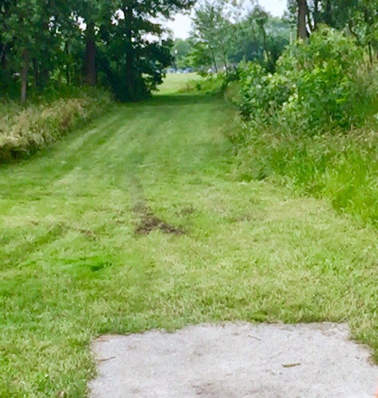 Hole 10 • Bevier Park (Waukegan, IL) | Disc Golf Courses | Disc Golf Scene