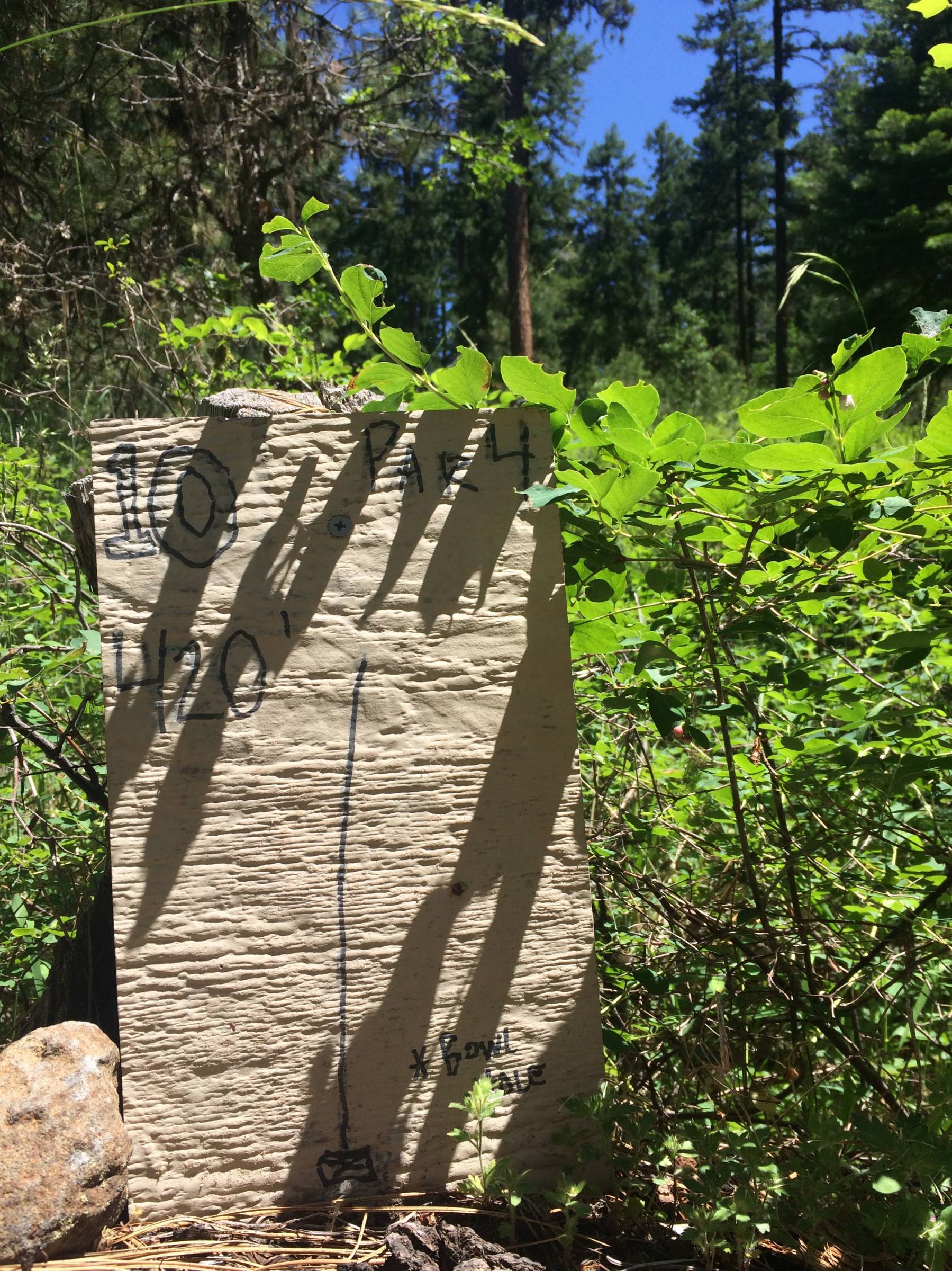 Hole 10 • Frog Creek at Shale City (Ashland, OR) | Disc Golf Courses ...