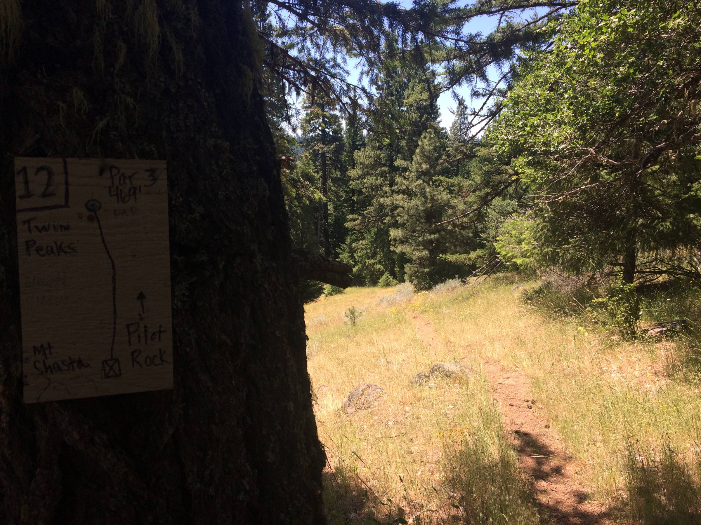 Hole 12 • Frog Creek at Shale City (Ashland, OR) | Disc Golf Courses ...
