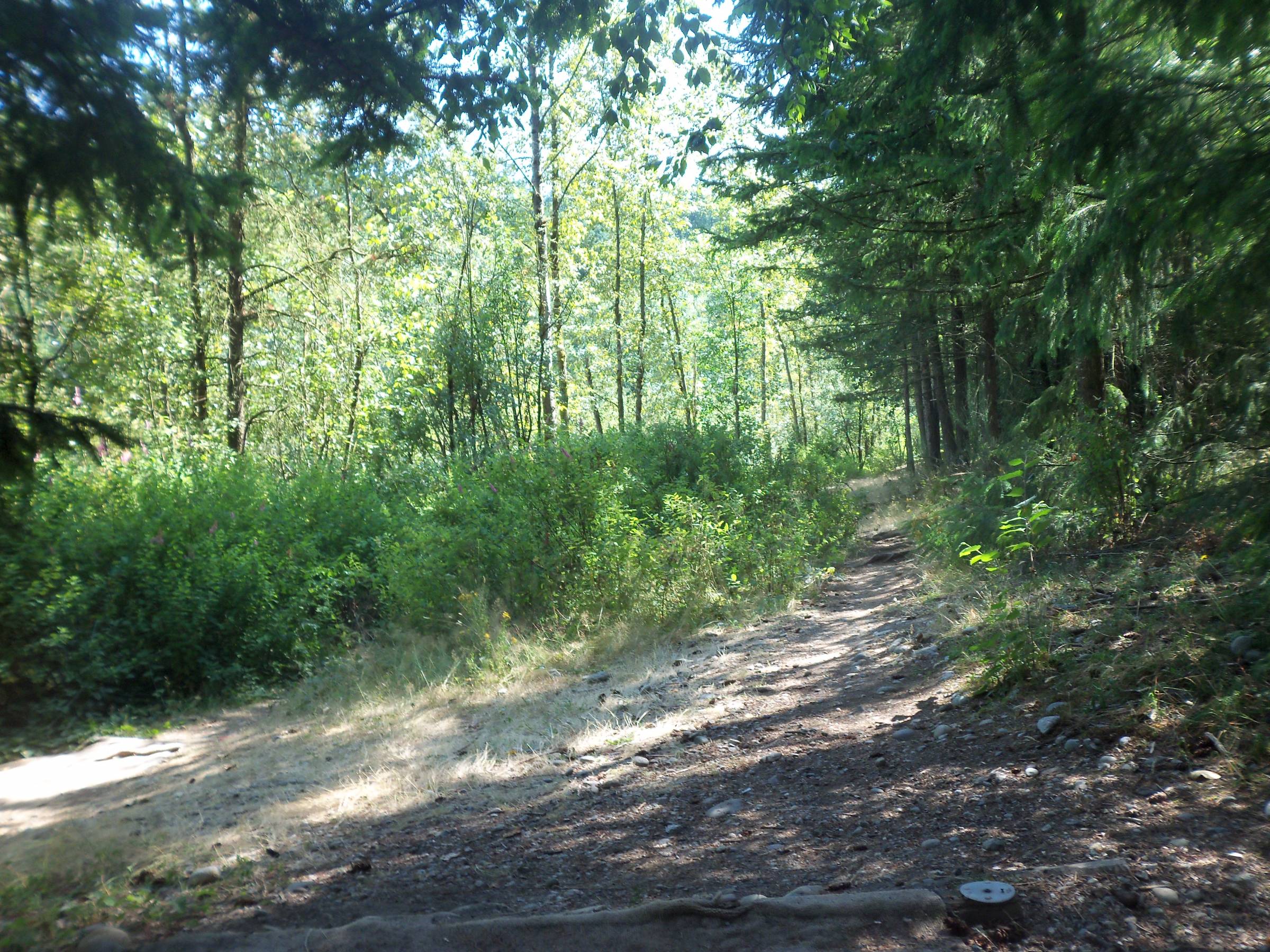 Hole 6 • Langley Passive Park (Langley, BC) | Disc Golf Courses | Disc ...