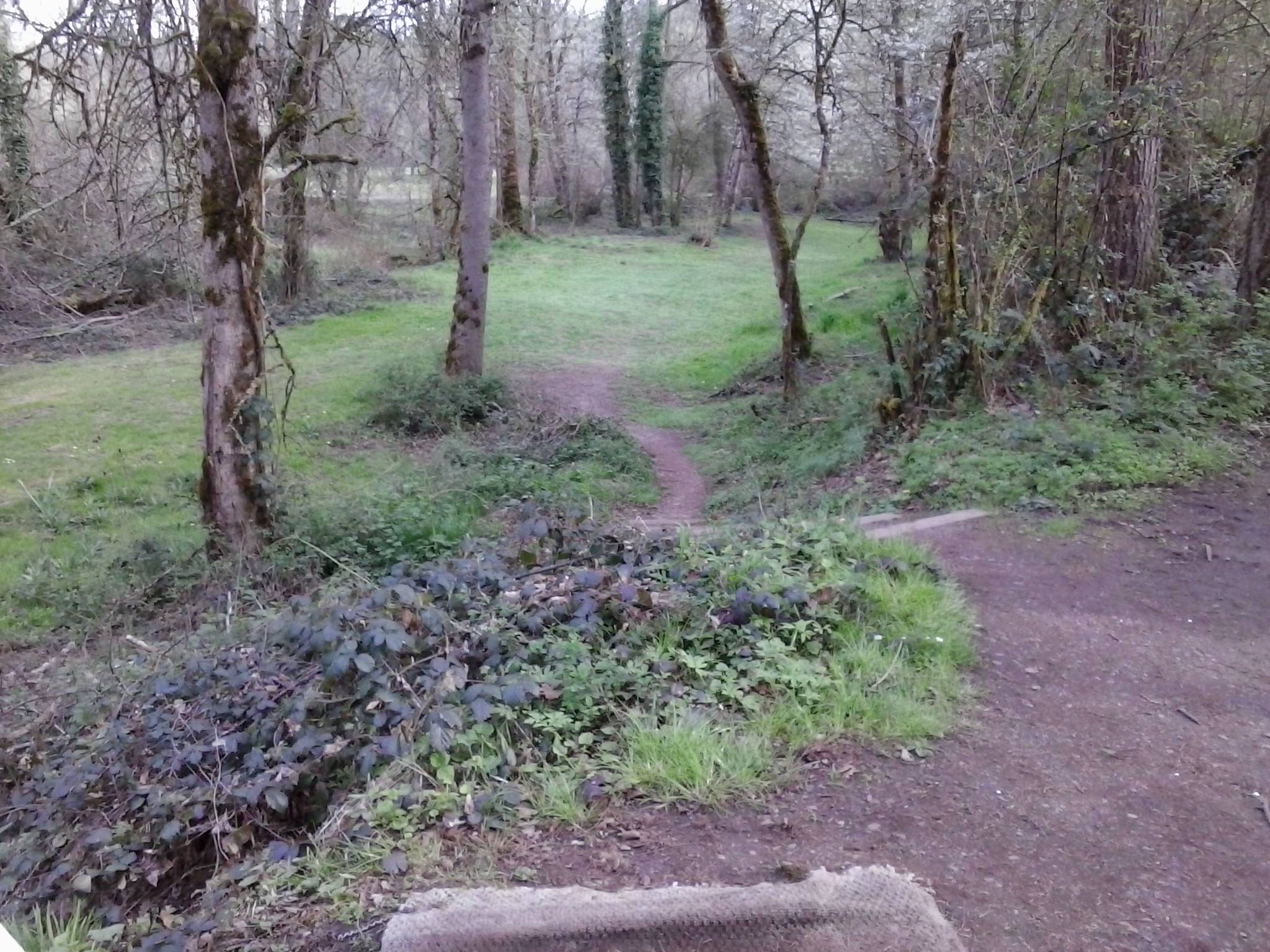 Hole 3 • Waterloo (Lebanon, OR) | Disc Golf Courses | Disc Golf Scene