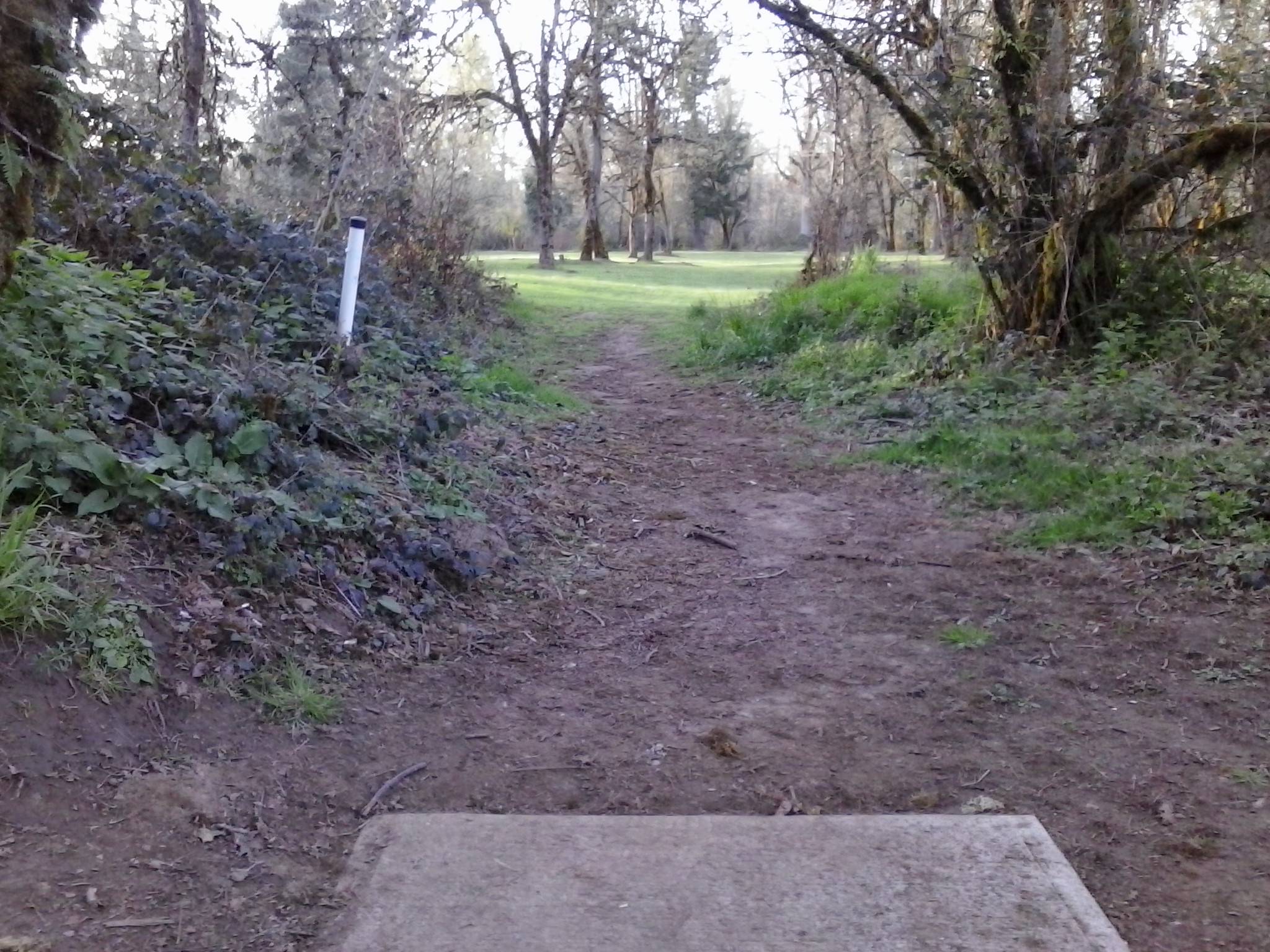 Hole 18 • Waterloo (Lebanon, OR) | Disc Golf Courses | Disc Golf Scene