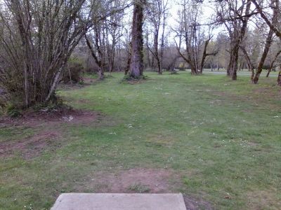 Hole 1 • Waterloo (Lebanon, OR) | Disc Golf Courses | Disc Golf Scene