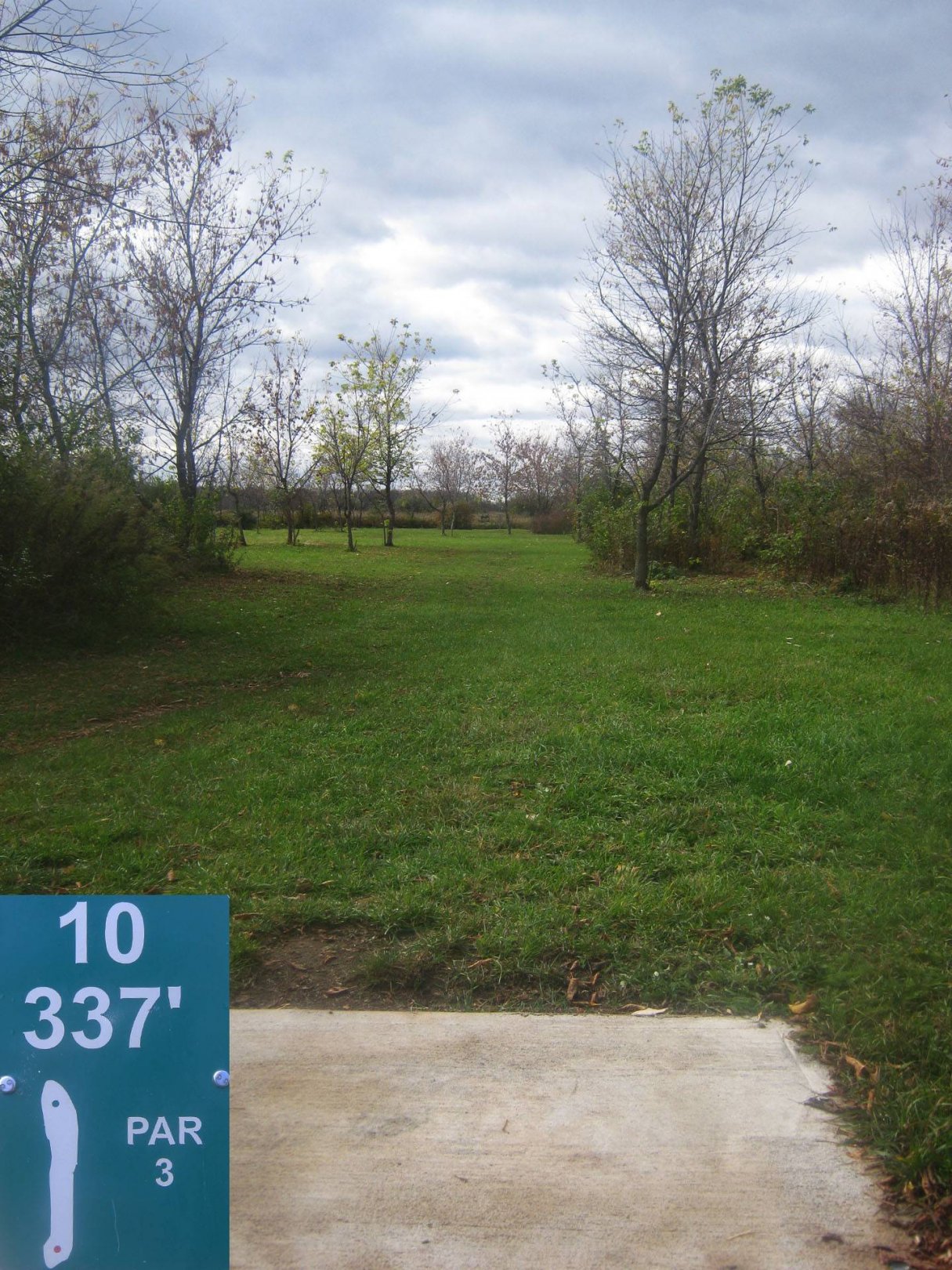 Hole 10 • Reed Park (North Star, MI) | Disc Golf Courses | Disc Golf Scene