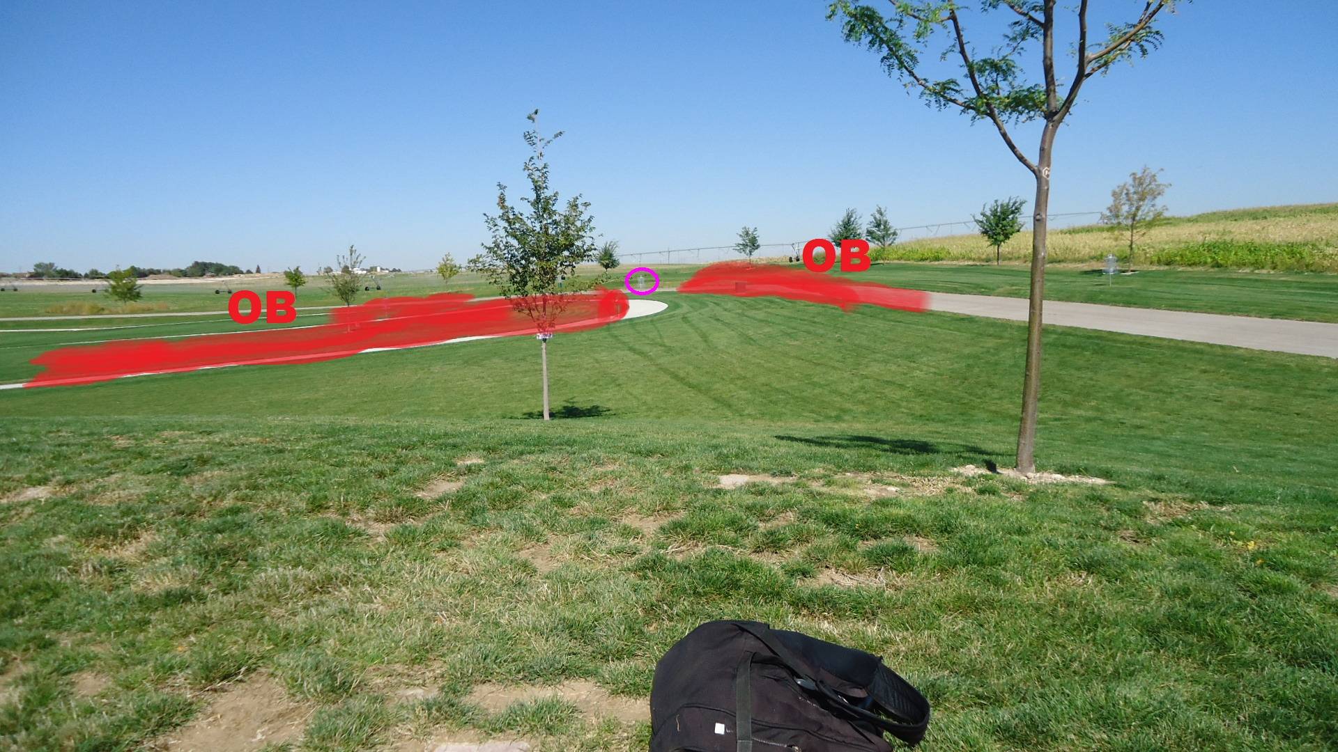 Hole 8 • Mallard Park (Caldwell, ID) | Disc Golf Courses | Disc Golf Scene