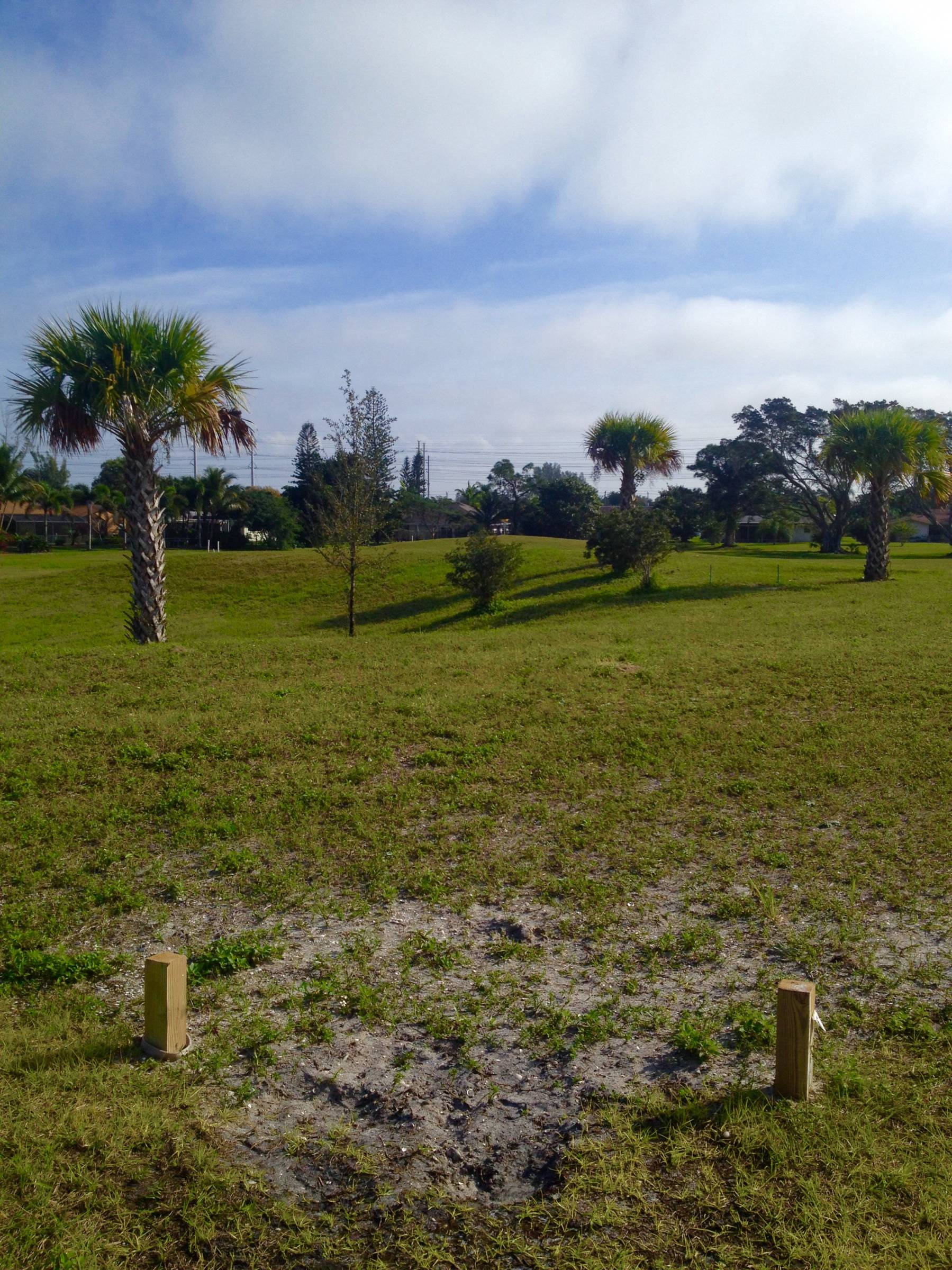 Hole 3 • Commons Park (Royal Palm Beach, FL) | Disc Golf Courses | Disc ...