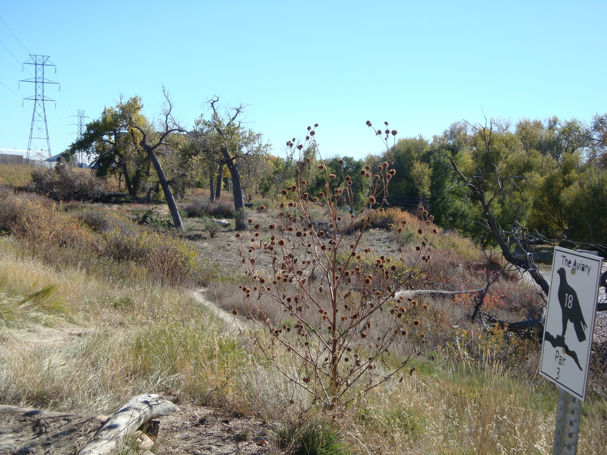 Hole 18 • The Aviary (Colorado Springs, CO) | Disc Golf Courses | Disc ...
