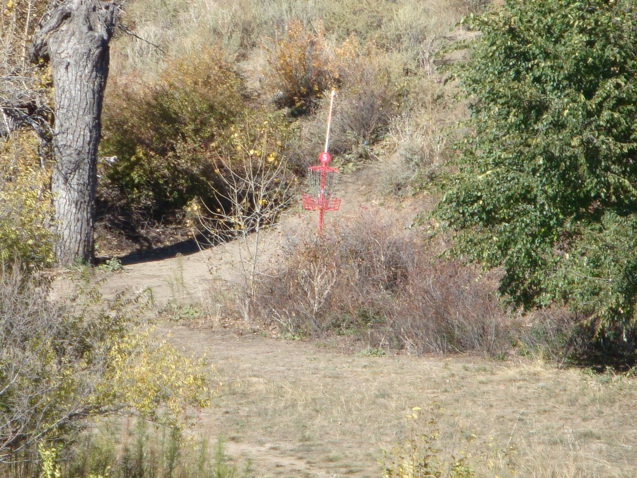 Hole 5 • The Aviary (Colorado Springs, CO) | Disc Golf Courses | Disc ...