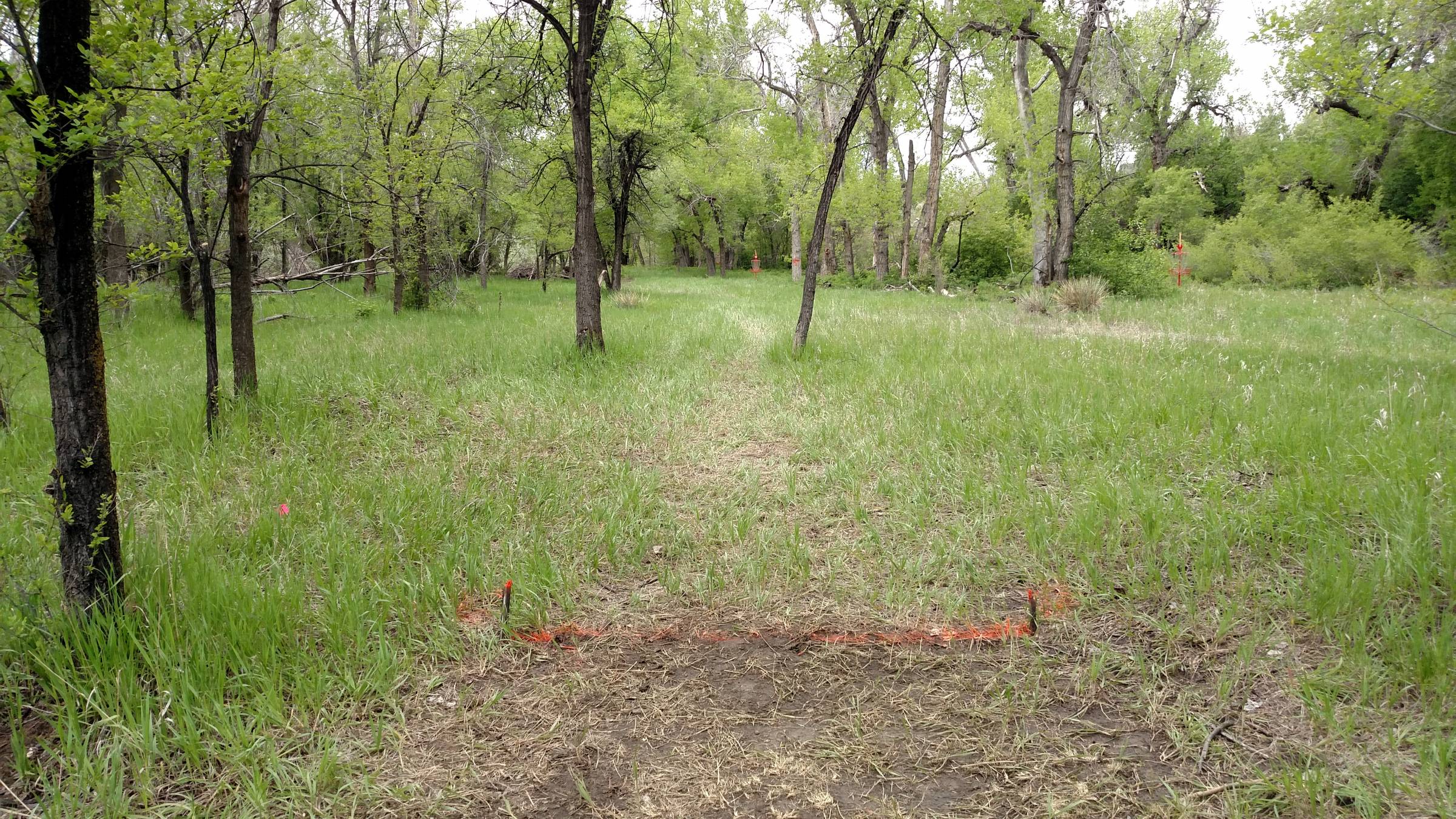 Hole 11 • The Aviary (Colorado Springs, CO) | Disc Golf Courses | Disc ...