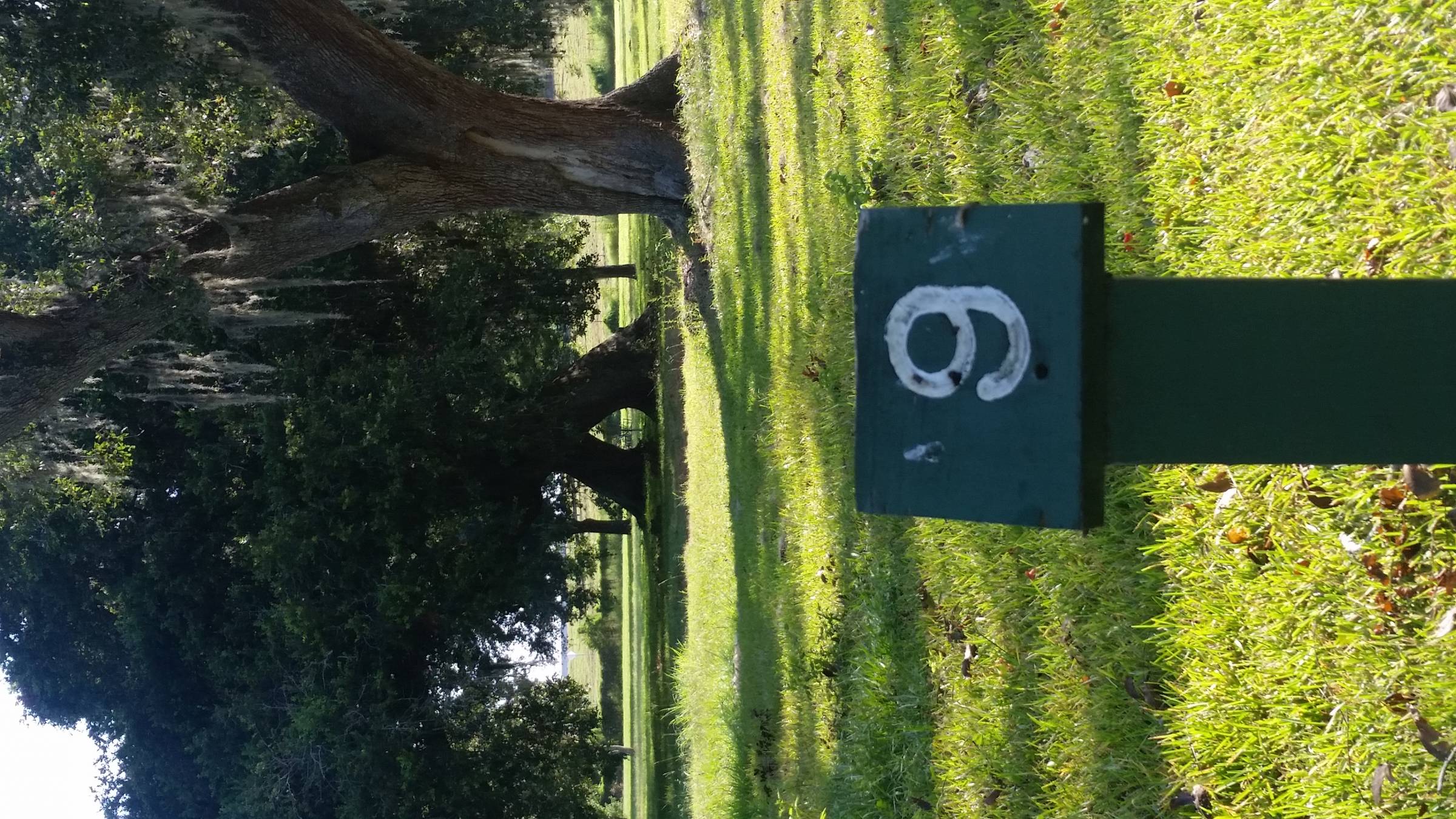 Hole 9 • TJ Dunbar Park (Lake Jackson, TX) | Disc Golf Courses | Disc ...