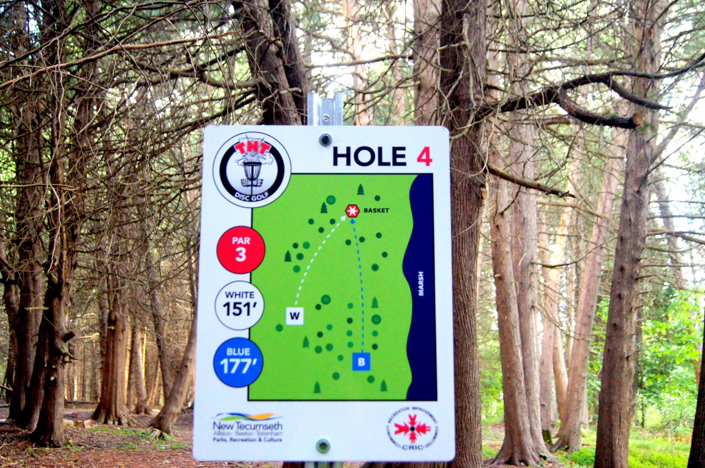 Hole 4 • Tottenham Conservation Park (Tottenham, ON) | Disc Golf ...