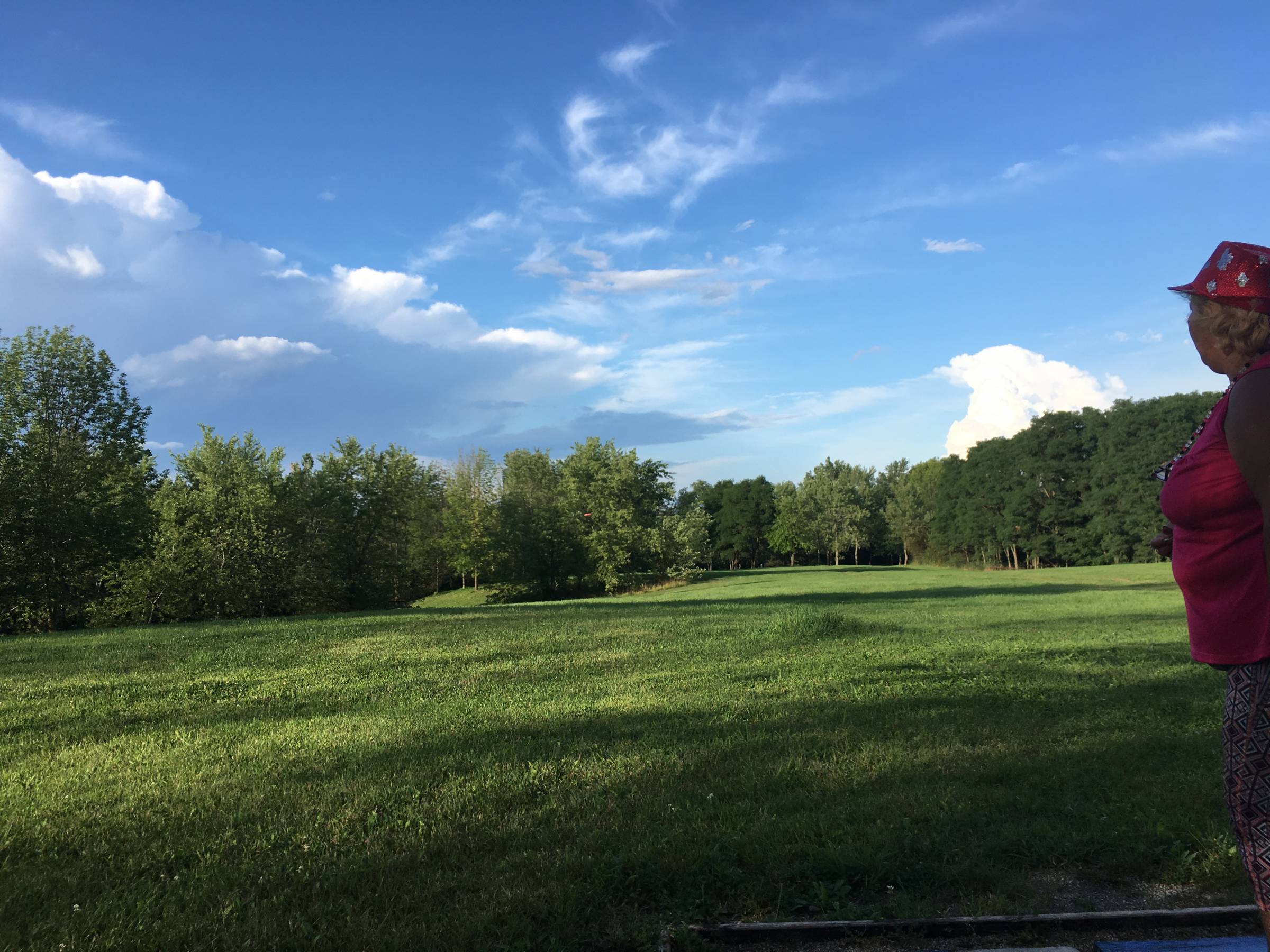 Hole 14 • Tottenham Conservation Park (Tottenham, ON) | Disc Golf ...