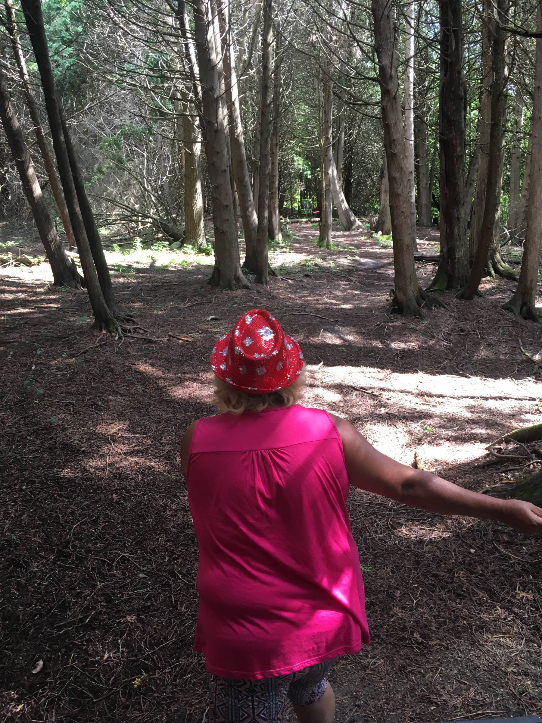 Hole 5 • Tottenham Conservation Park (Tottenham, ON) | Disc Golf ...