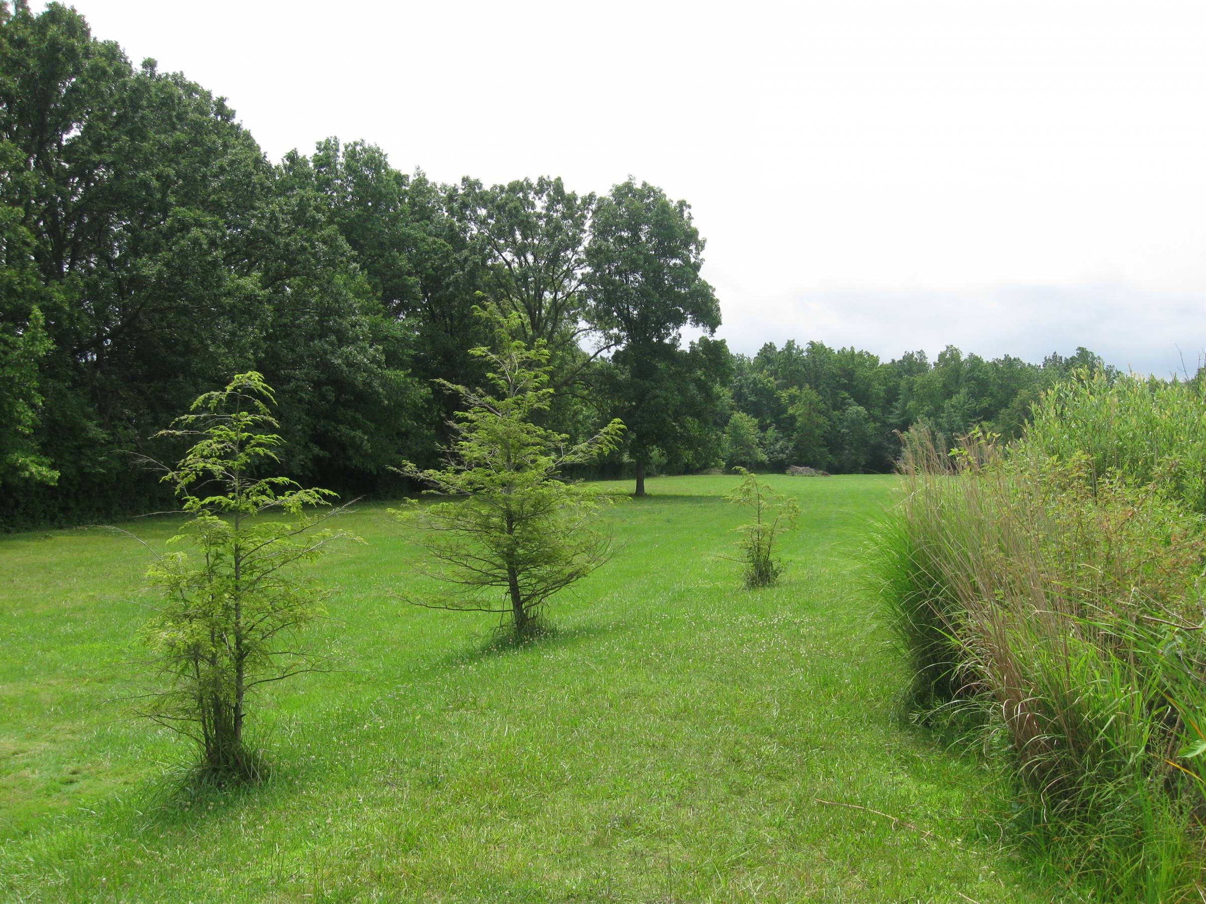 Hole 2 • Mallard's Hideout (Belleville, MI) | Disc Golf Courses | Disc ...