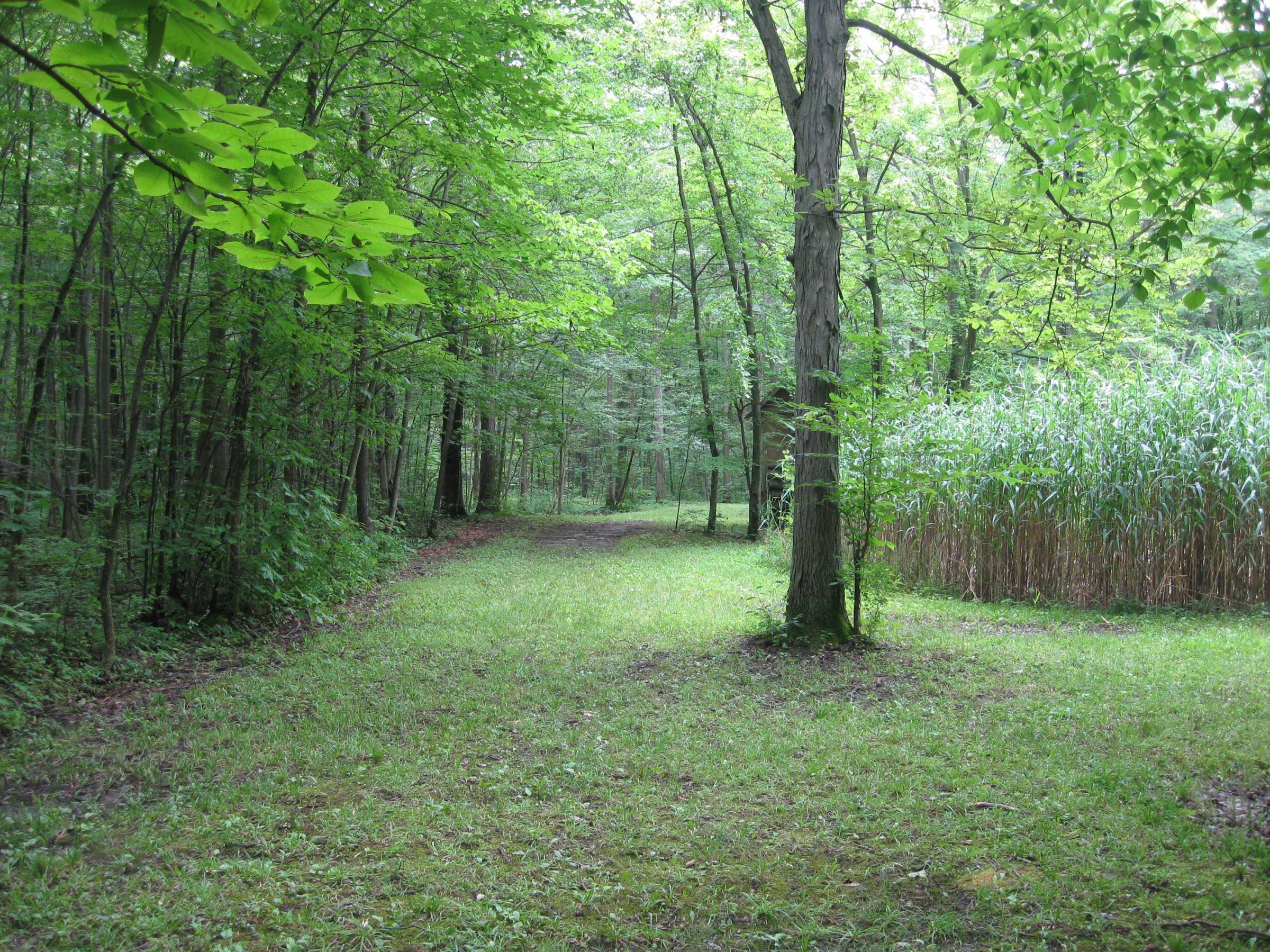 Hole 7 • Mallard's Hideout (Belleville, MI) | Disc Golf Courses | Disc ...