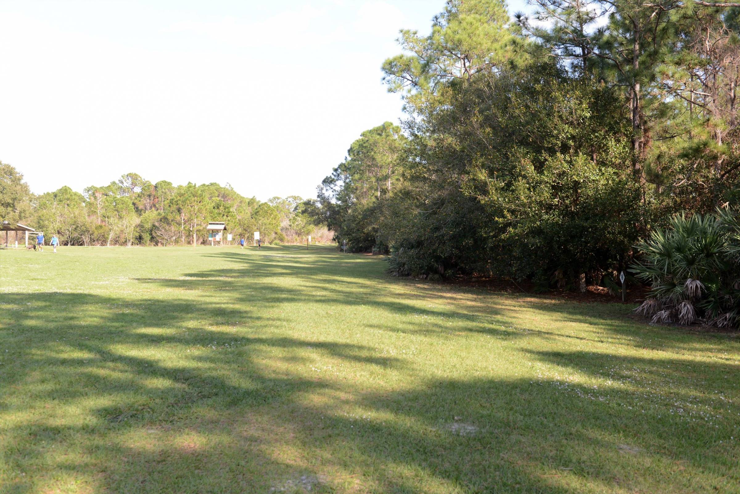 Hole 4 • Halpatiokee Regional Park (Stuart, FL) | Disc Golf Courses ...
