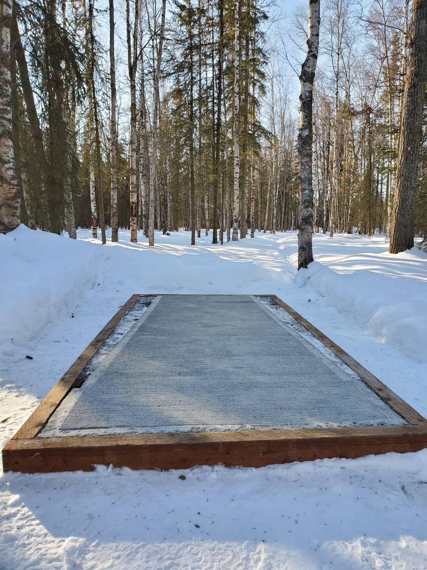 Hole 4 • Davis Park (Anchorage, AK) | Disc Golf Courses | Disc Golf Scene