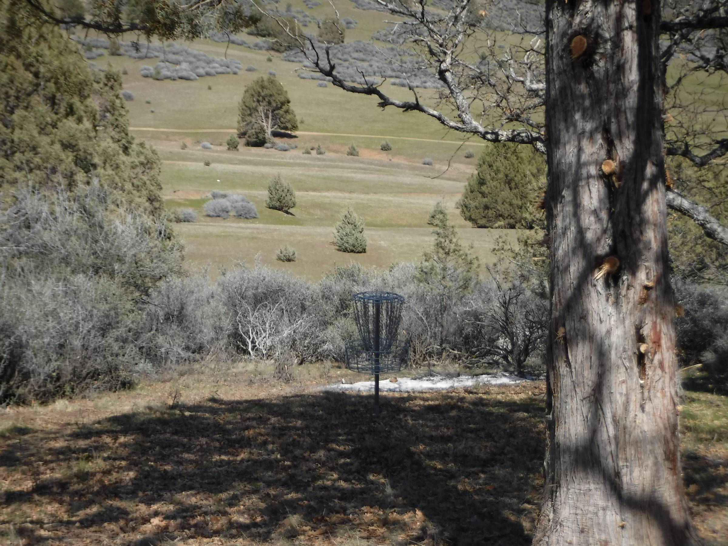 Hole 16 • McConaughy Disc Golf Course (Etna, CA) | Disc Golf Courses ...