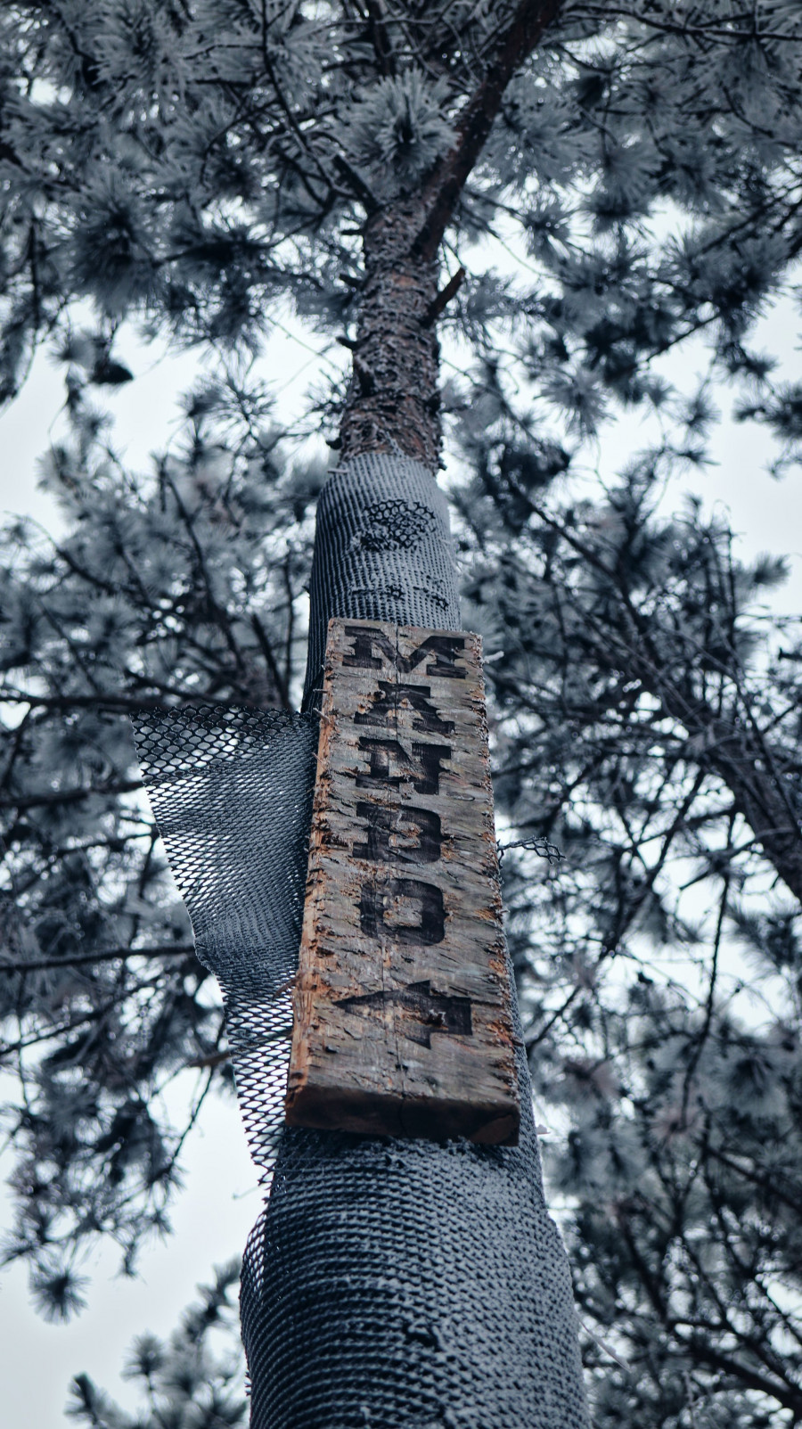BRP Winter Freeze · Disc Golf Scene