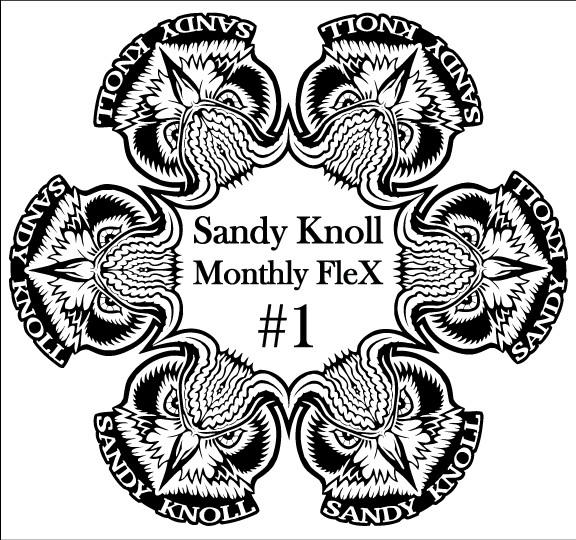 Sandy Knoll Monthly FleX #1 · Disc Golf Scene