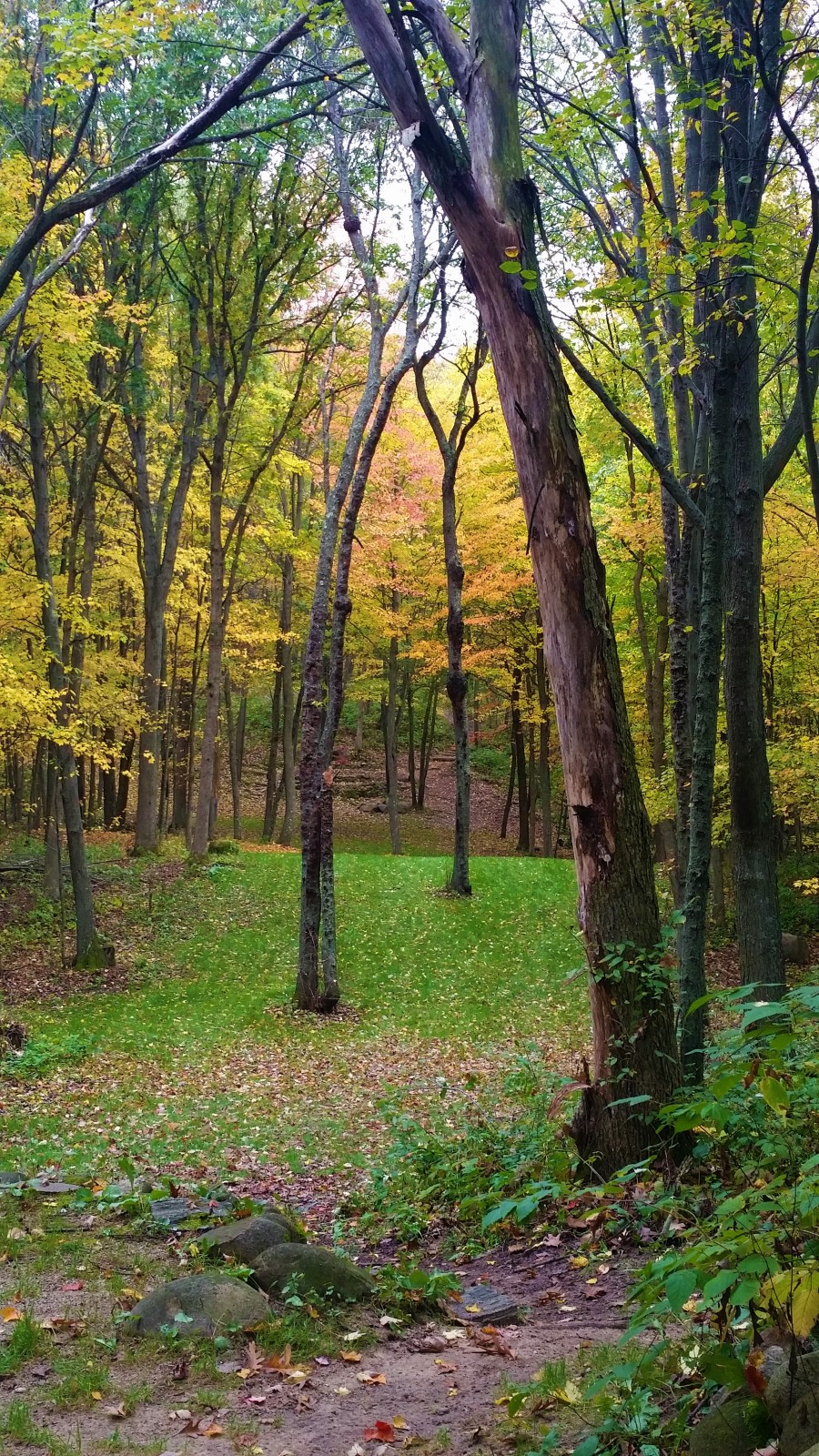 Double on the Rocks (2019, SPAFDA) · Disc Golf Scene