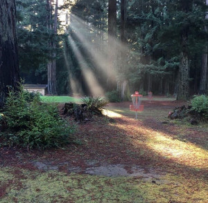 Brooktrails Open (2023, Basket Beaters Disc Golf Club) · Disc Golf Scene