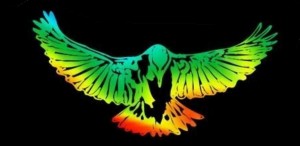 Burchfield Open Day One (MPM MA1 MA3 MG1) (2015, Capital City Renegades ...