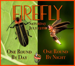 Firefly (Glow Down The Mountain) (2025, Dark Hollow Discs) · Disc Golf ...