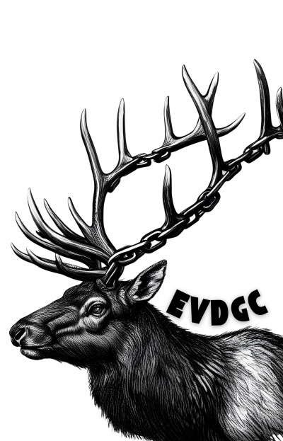 Results · Elk Valley Doubles Championship 2026 · Disc Golf Scene