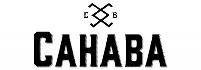 Cahaba Putting League (2022, Dynamic Discs Iron City) · Disc Golf Scene