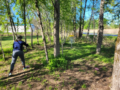 Le Sherby Open (2024, Association de disque golf de Sherbrooke) · Disc ...