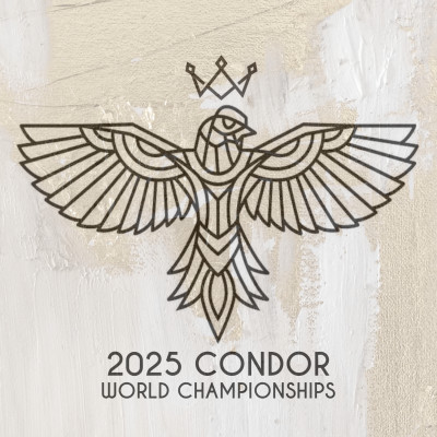 2025 Condor World Championships supported by Innova Champion Discs ...