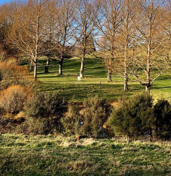 Pictures · Te Pohue Breeze (2025, Hawkes Bay Disc Golf Club) · Disc ...