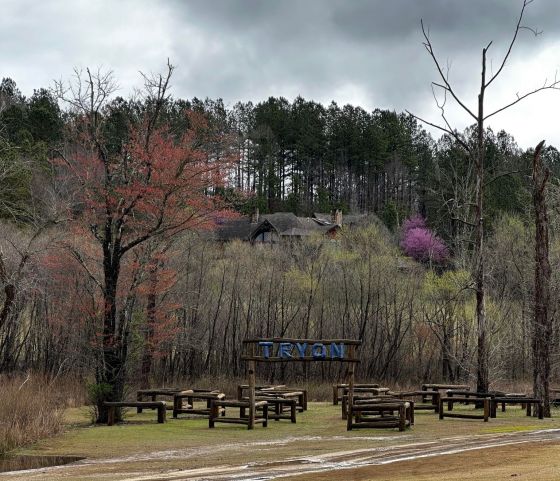Pictures · Tryon International Disc Golf Classic - Driven by Innova ...