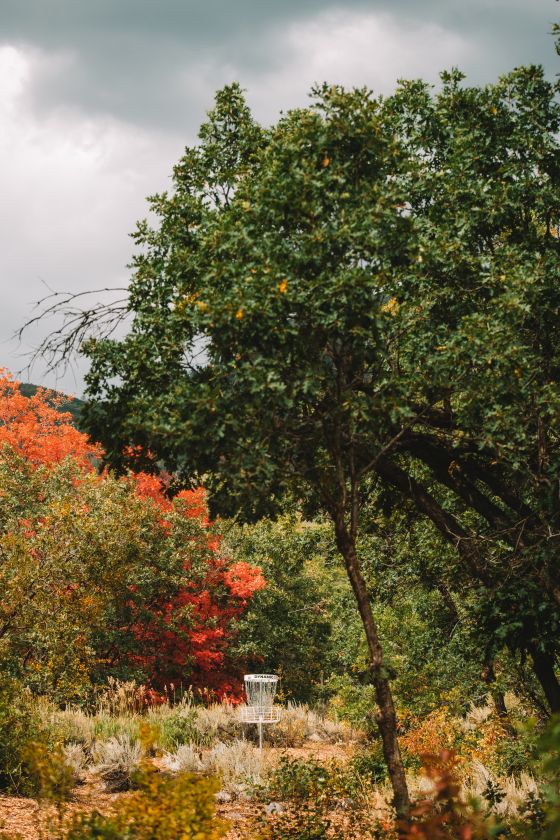 Pictures · DGMT - Masters of The Mountain (2024, Callie McMorran Master's Tour) · Disc Golf Scene