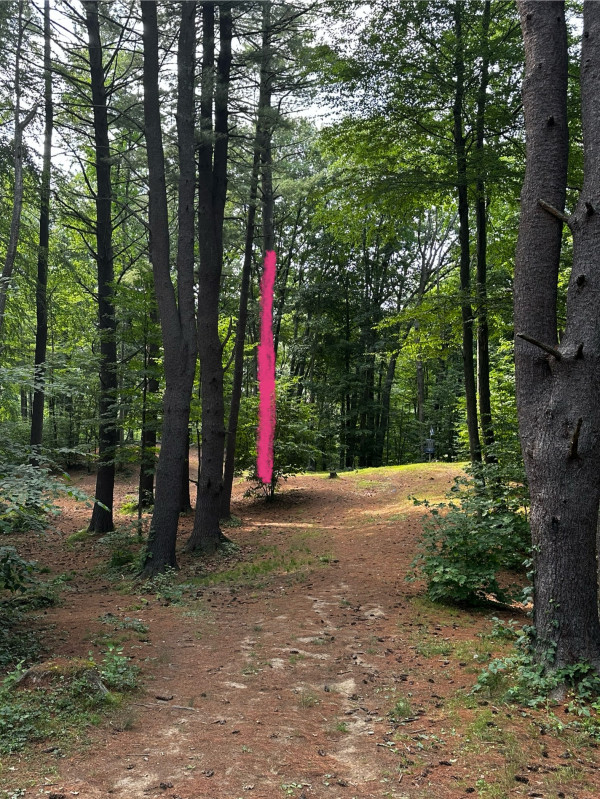 Pictures · Granite's Gaps: Clement Farms (Flex Start) (2024, Granite's ...