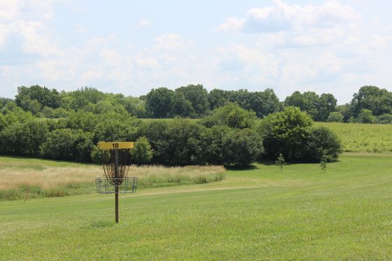 Pictures · Frolf with the Foundation (2023, West Chicago Parks ...