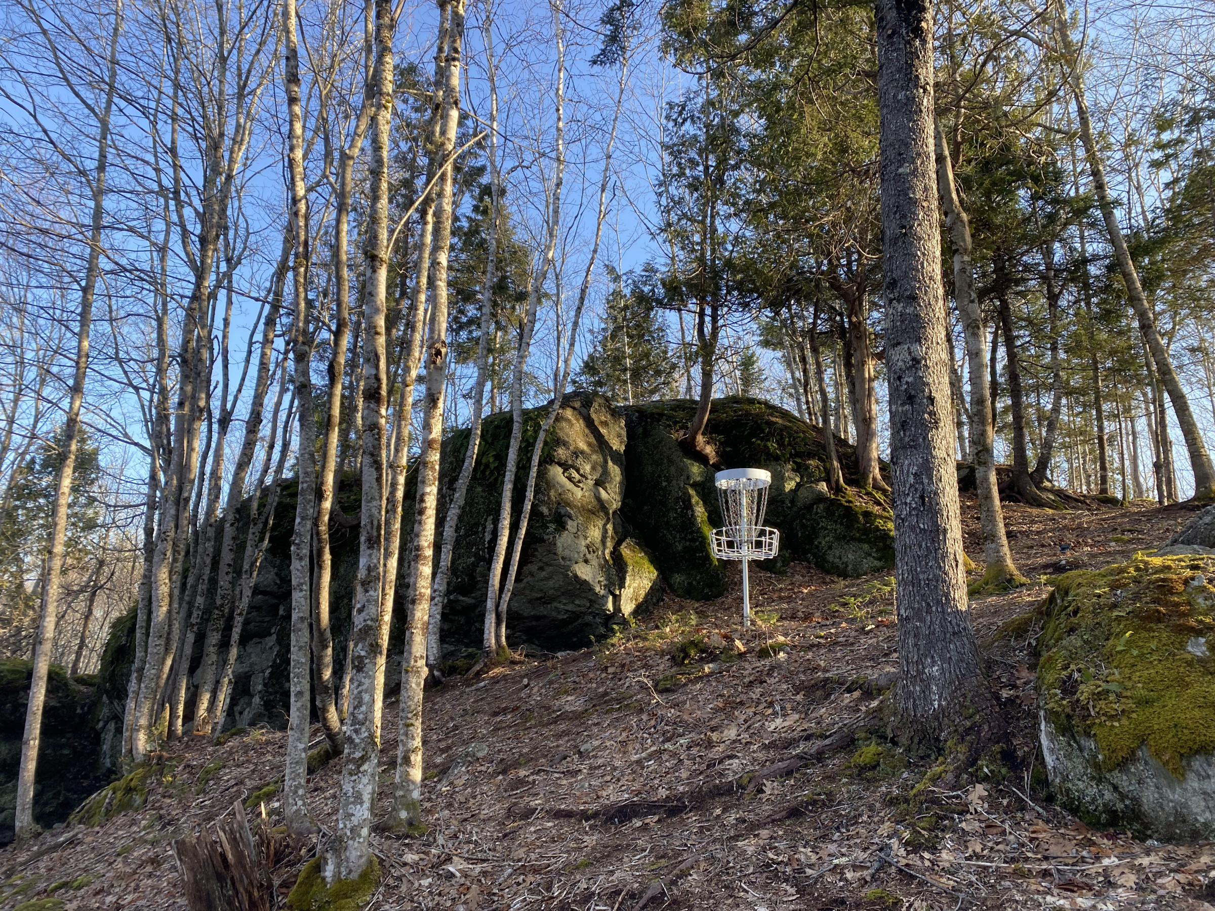 Random Doubles Meet-Up · Disc Golf Scene