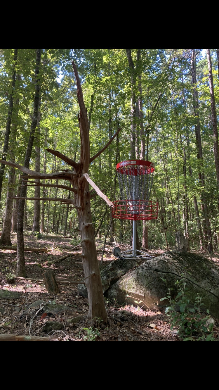 Coyote Cut Grand Opening · Disc Golf Scene