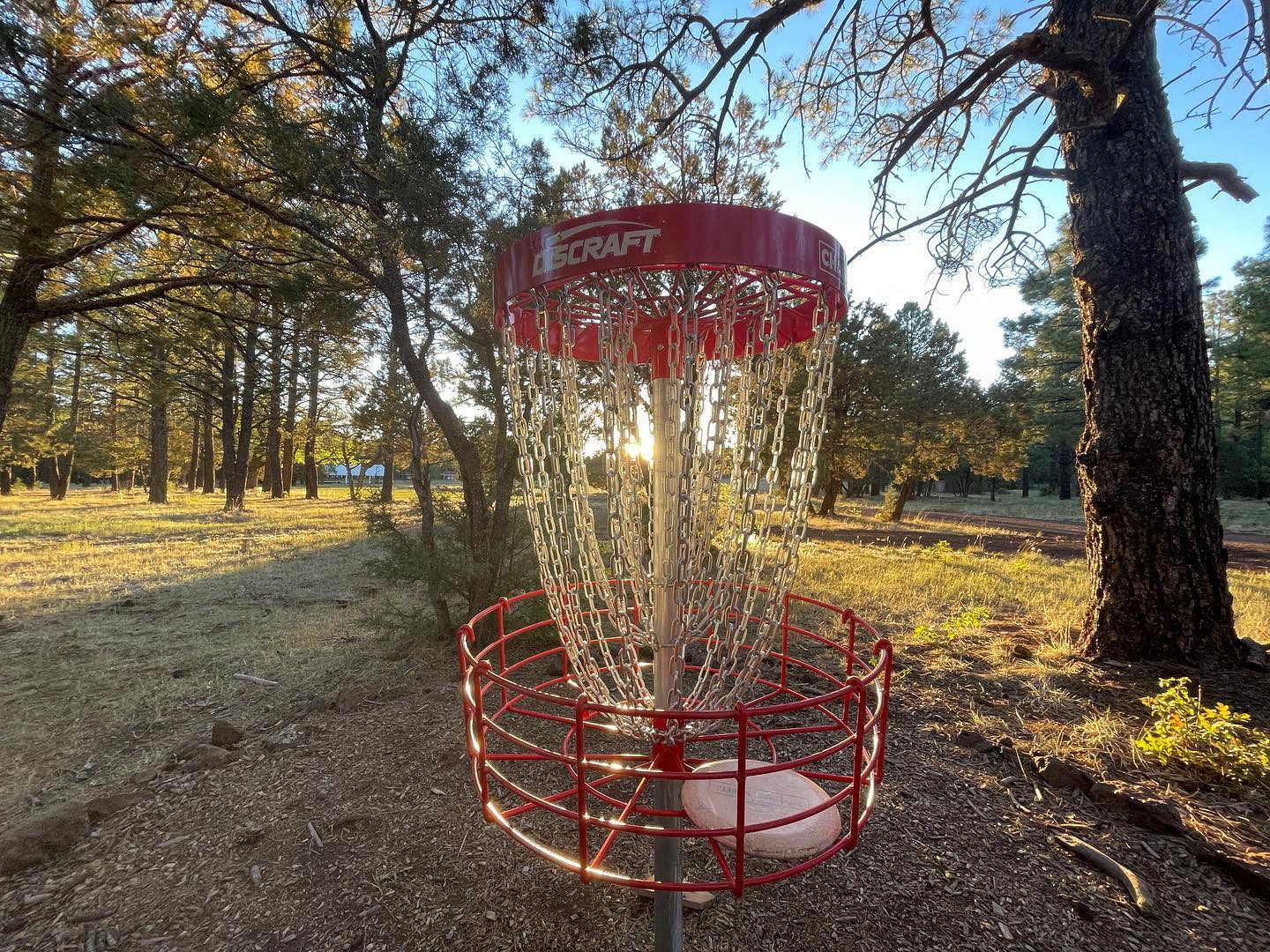 Top of the Pines presented by Discraft · Disc Golf Scene